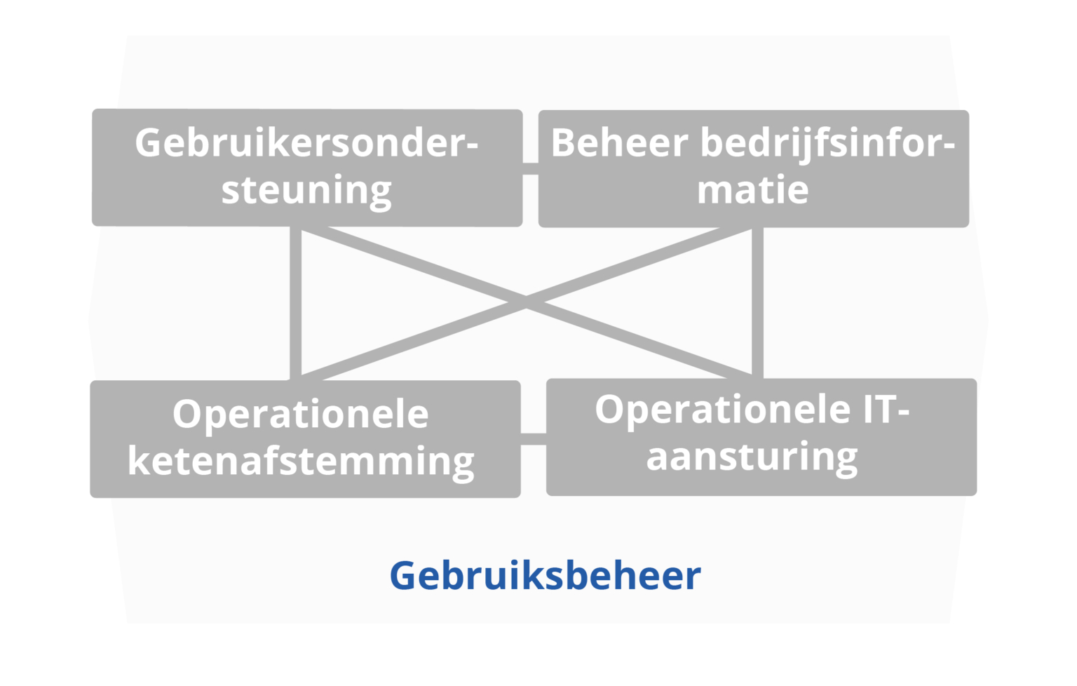 Het BiSL® model in het kort | Forsa Advies